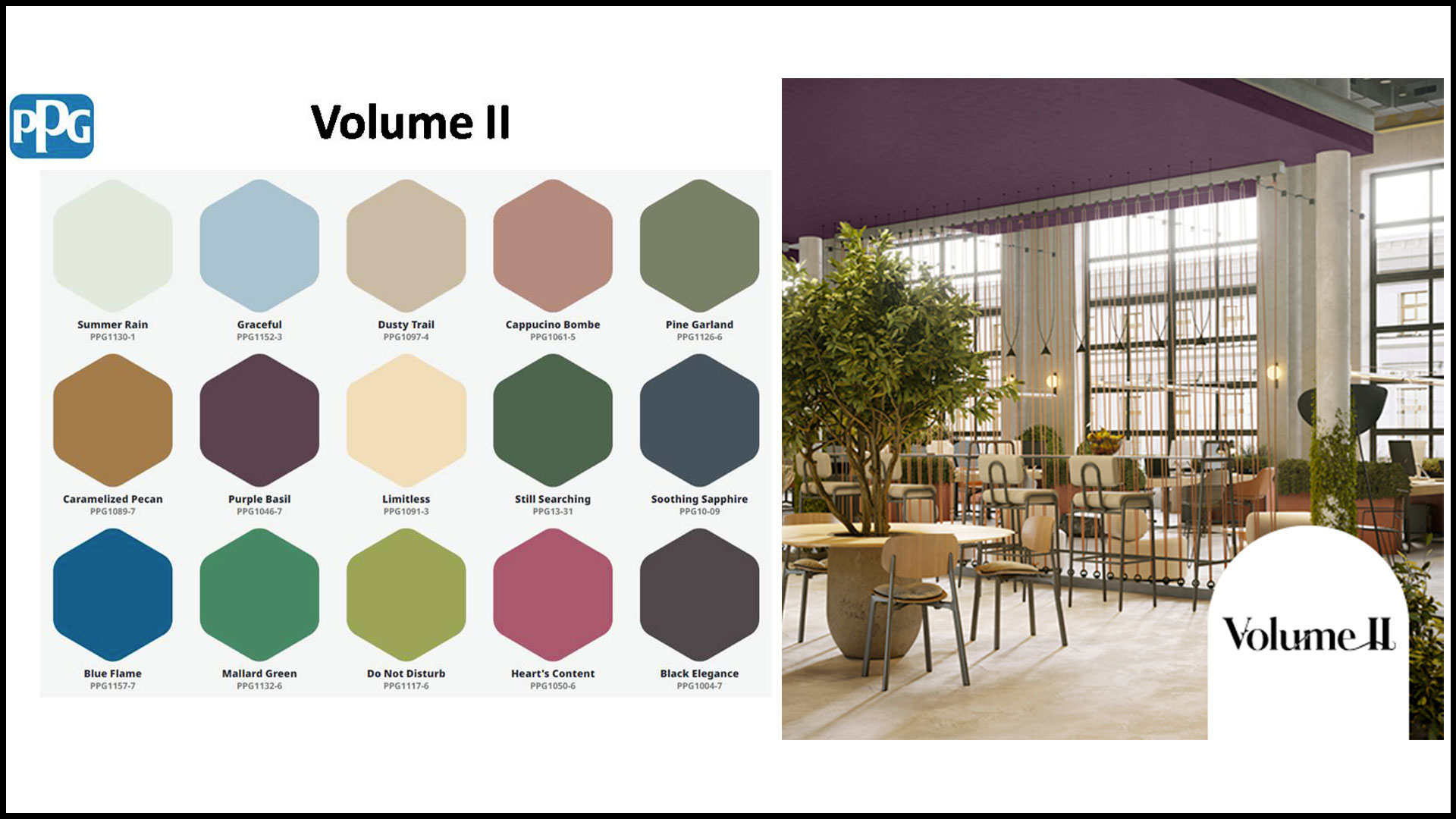 Color of the Year 2024: Here's what the leading brands suggest - Vivere ...